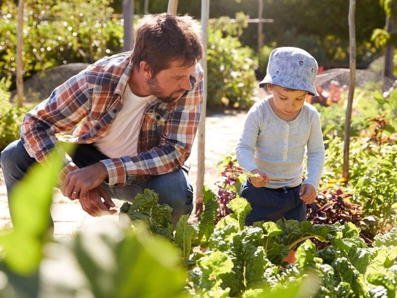 Rural and Agriculture - Sidekick